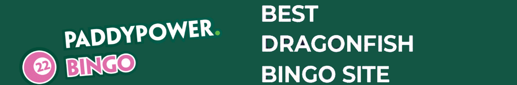 Paddy Power Bingo Review - £25 bonus - BingoJokes